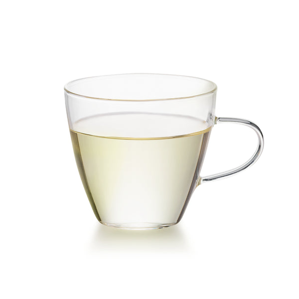 Capacitea Clear Glass Cup with Handle – CAPACITEA